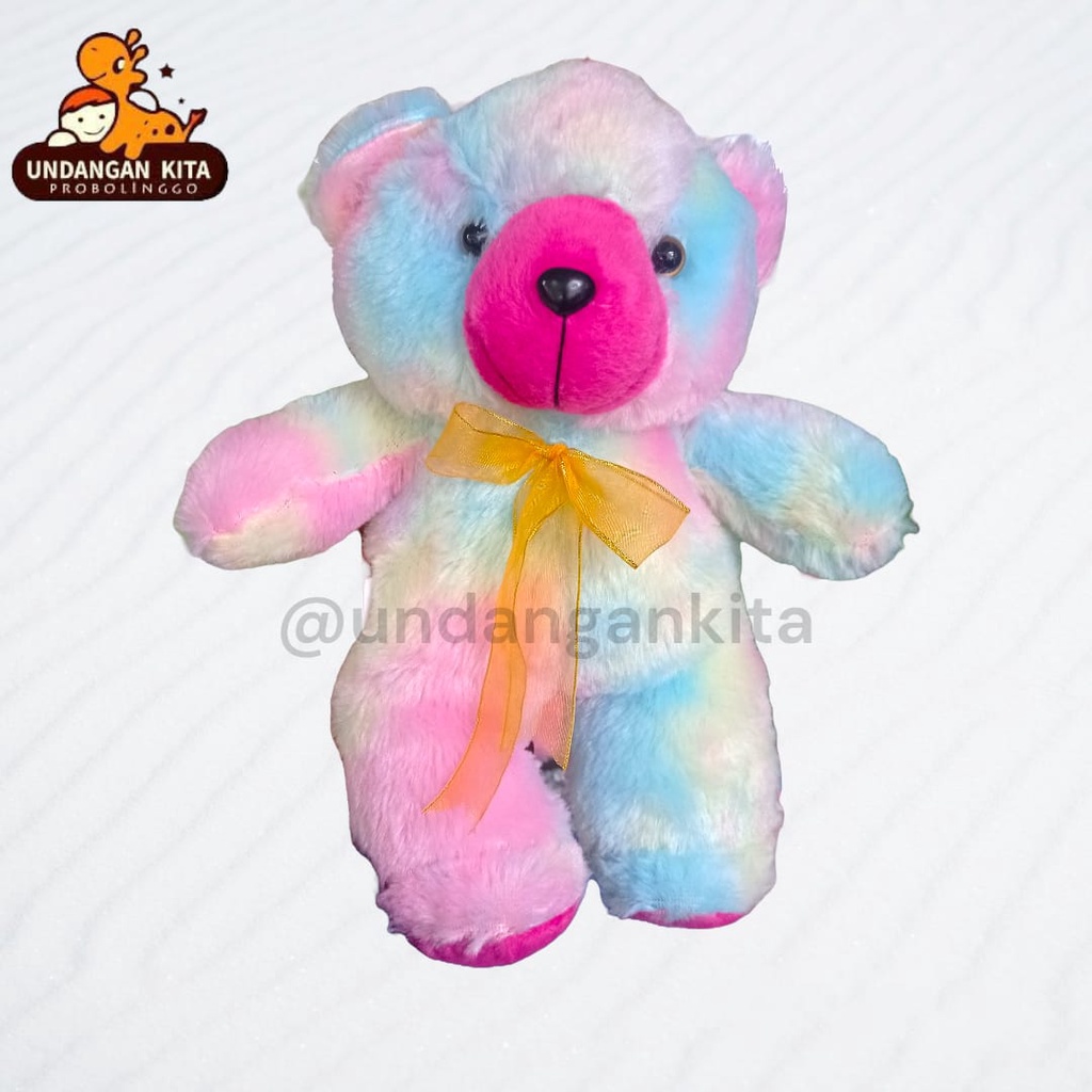 Jual Boneka Viral Teddy Bear Rainbow Pelangi SNI 35cm | Shopee Indonesia