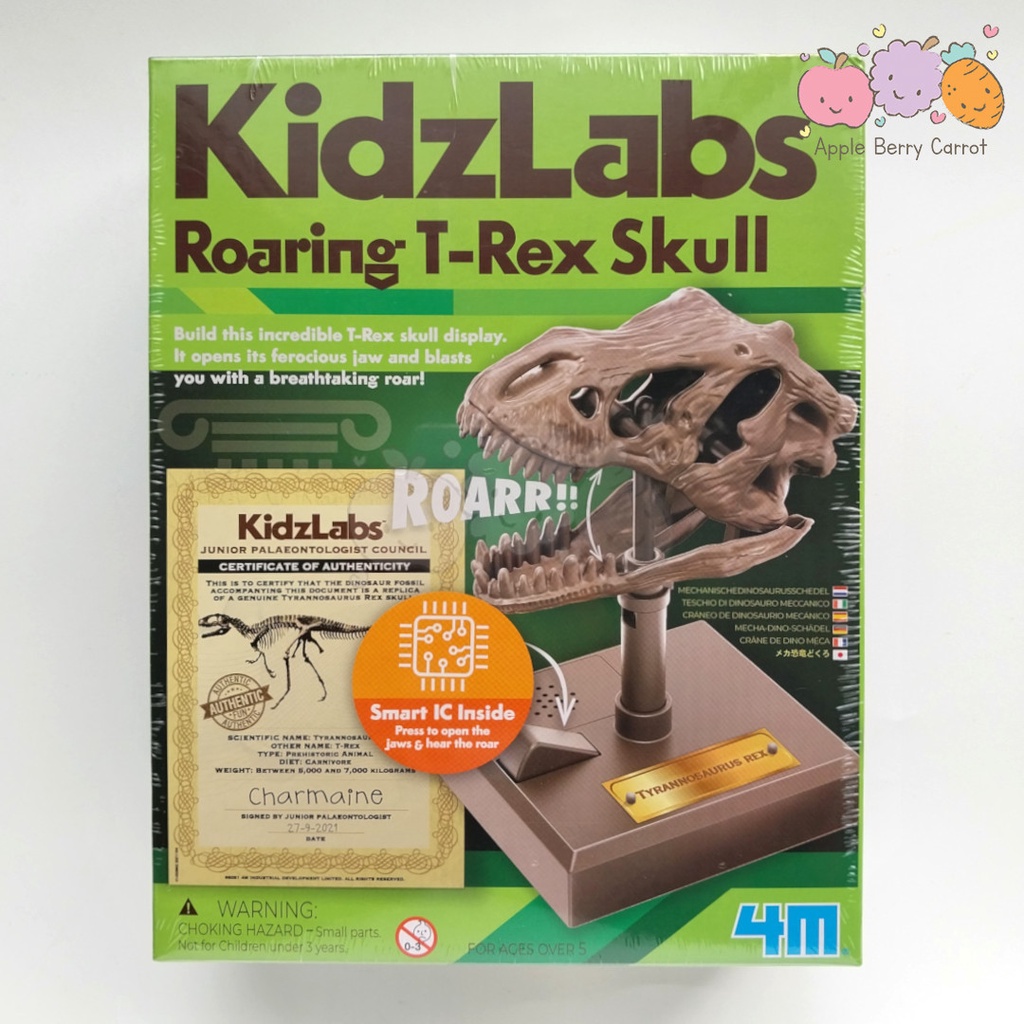Jual 4M Kidzlabs Roaring T-Rex Skull kids labs dino dinosaurus ...