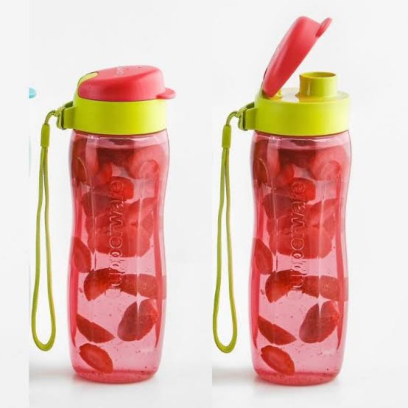 Jual Botol Minum Tupperware Eco Fashion 500ml Merah-Hijau (1 pcs ...