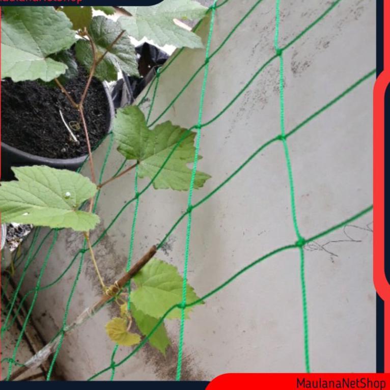 Jual Product-U86Z☛ Jaring Rambatan Tanaman/Jaring Tanaman Buah Anggur ...