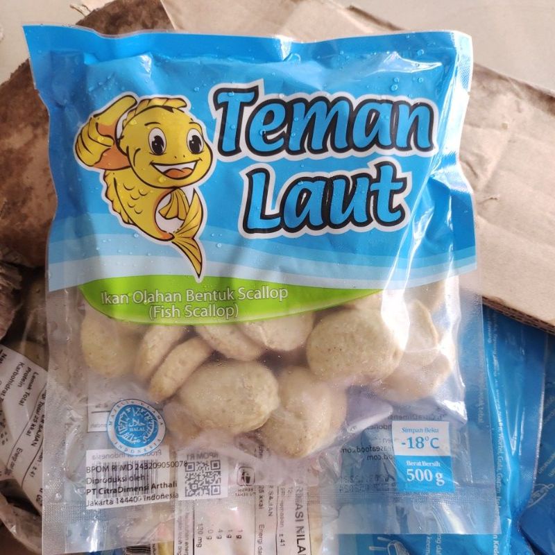 Jual teman laut scallop 500gr | Shopee Indonesia
