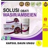 Jual Kapsul daun ungu herbal alami 100% original/cocok untuk ambeyen | Shopee Indonesia