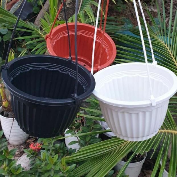 Jual Pot Gantung Pumba Size 20 Pot Bunga Gantung Bagus Termasuk Tali ...
