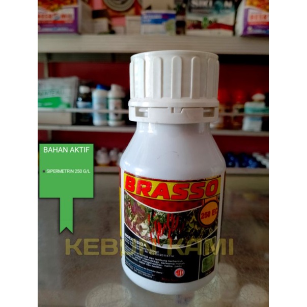 Jual BRASSO 250 EC 250 ML PEMBASMI ORONG ORONG DAN ULAT GRAYAK | Shopee Indonesia