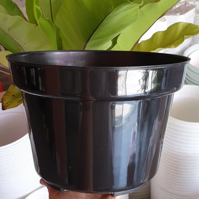 Jual Nkt Basic Hitam Polos Ukuran 30 Pot Bunga Plastik Hitam Polos ...