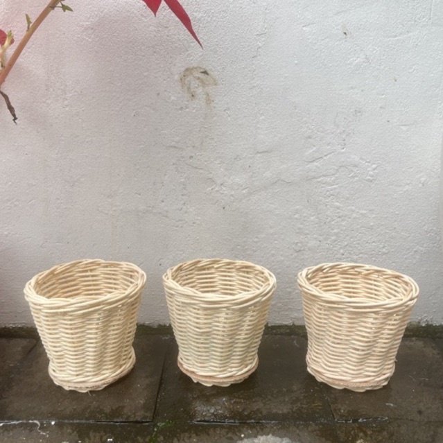 Jual Keranjang rotan, Anyaman rotan, Cover Pot Rotan, Wadah Tumbuhan ...