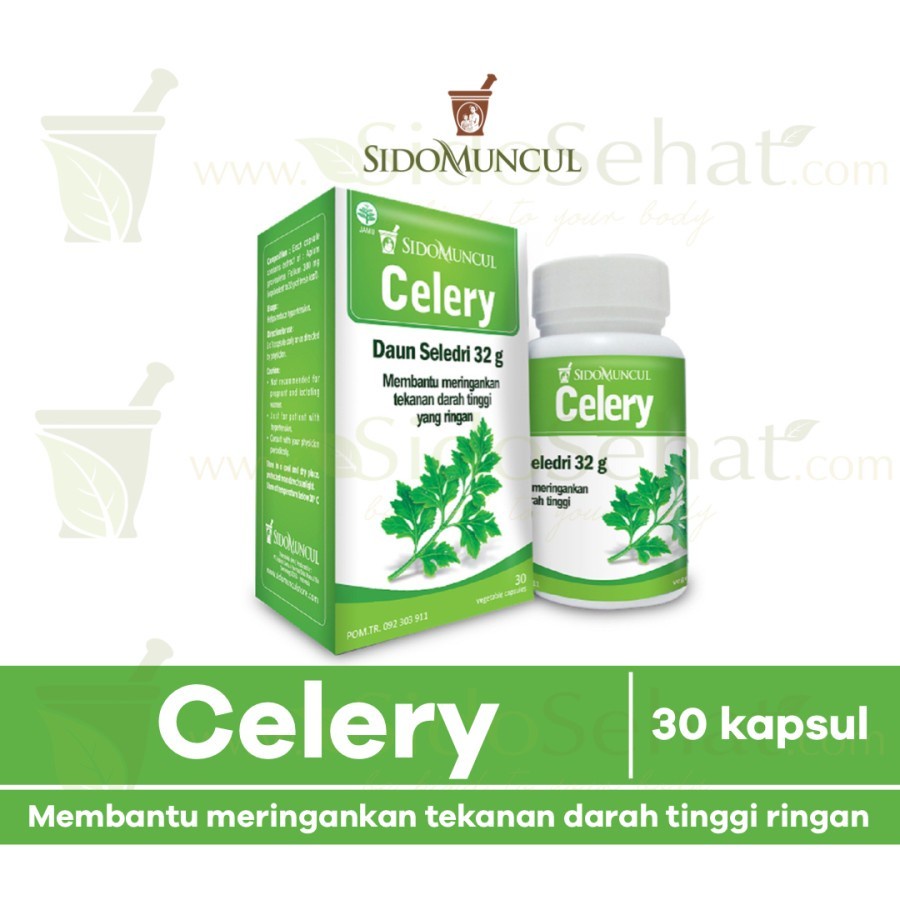Jual Kapsul Ekstrak Daun Seledri Sidomuncul obat darah tinggi ...
