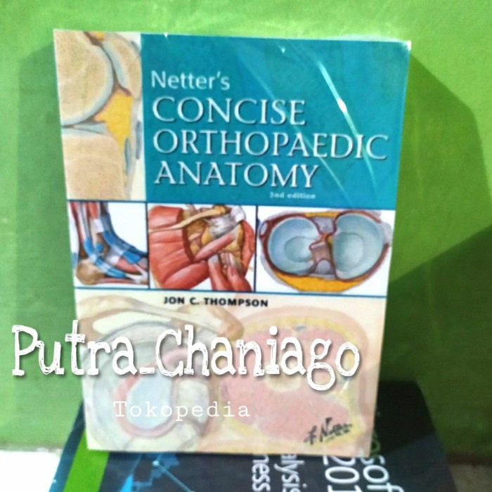 Jual Netter'S Concise Orthopaedic Anatomy 3Rd Edition By Jon C Thompson ...