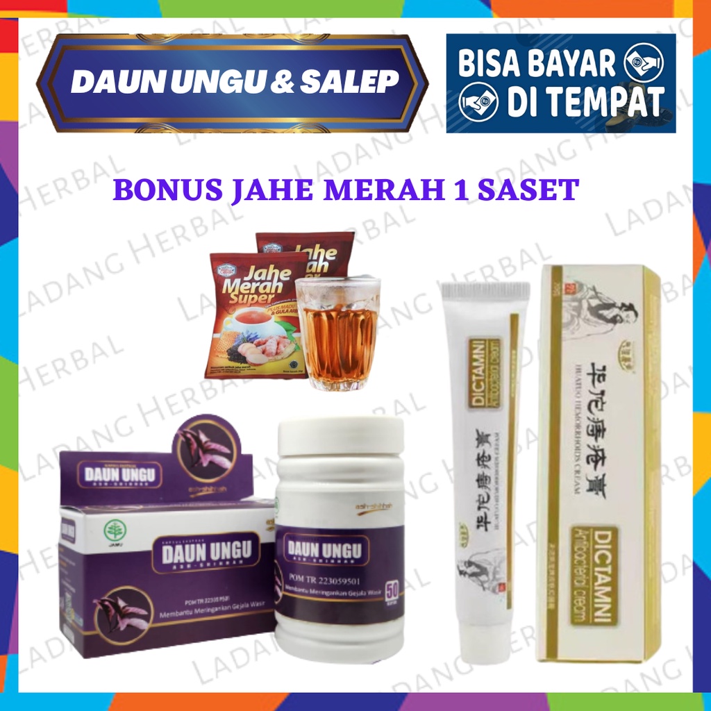 Jual Kapsul Herbal Daun Ungu & Salep Dictamni ORIGINAL BPOM Obat Ambeien Wasir Ambeyen Ampuh ...