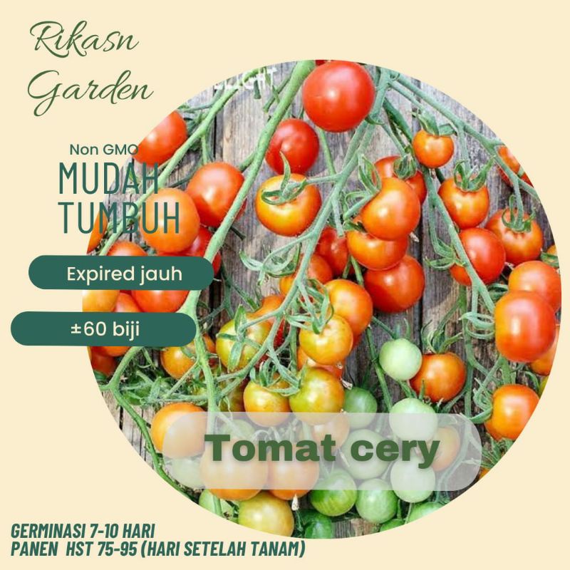 Jual KHUSUS BATAM benih biji bibit tomat ceri TOMAT CHERRY | Shopee ...