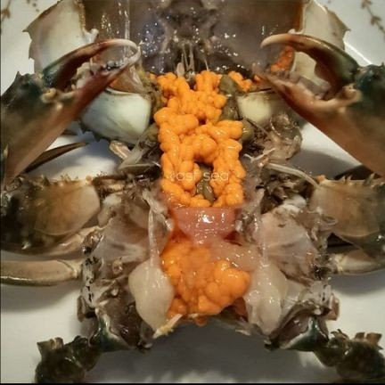 Jual Kepiting Bertelur Frozen Berkualitas - 1 Kilogram | Shopee Indonesia