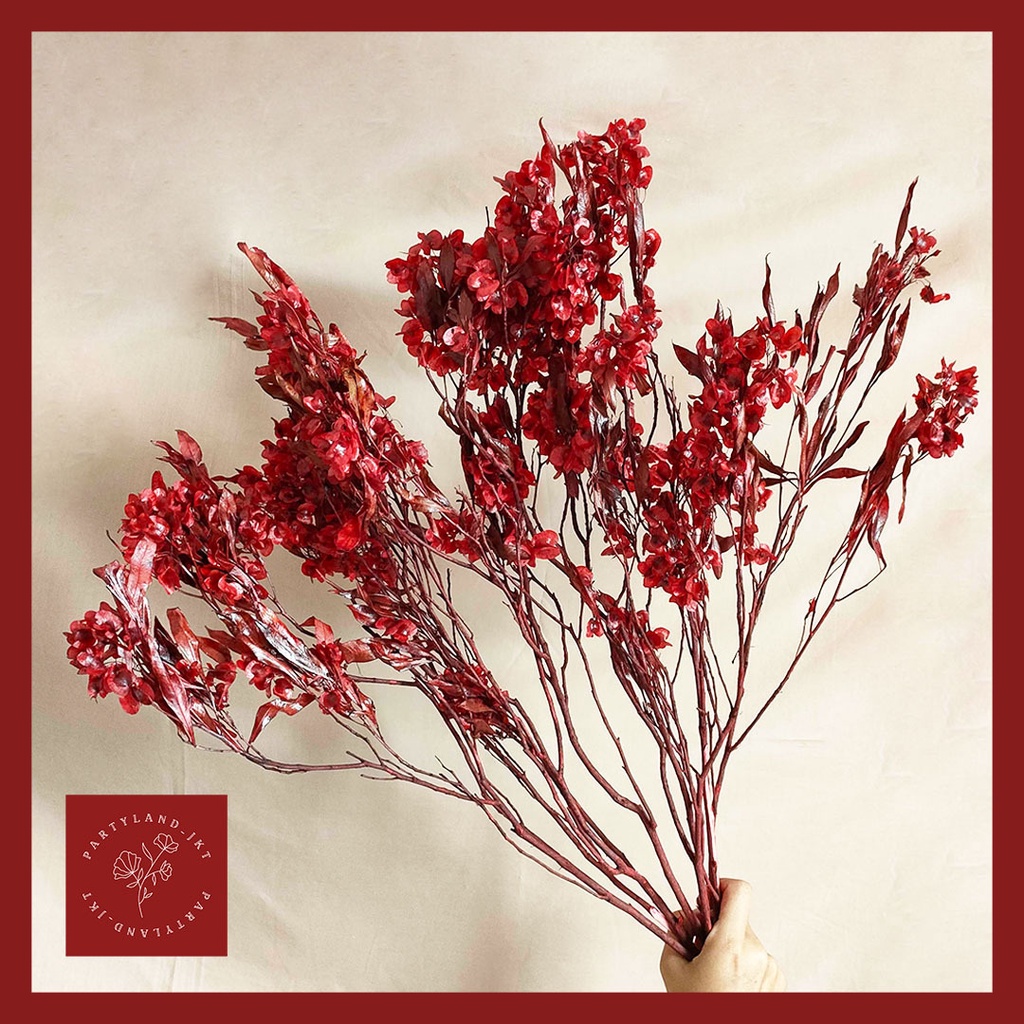 Jual Chinese New Year Preserved Red HopBush Dodonaea Bunga Imlek ...