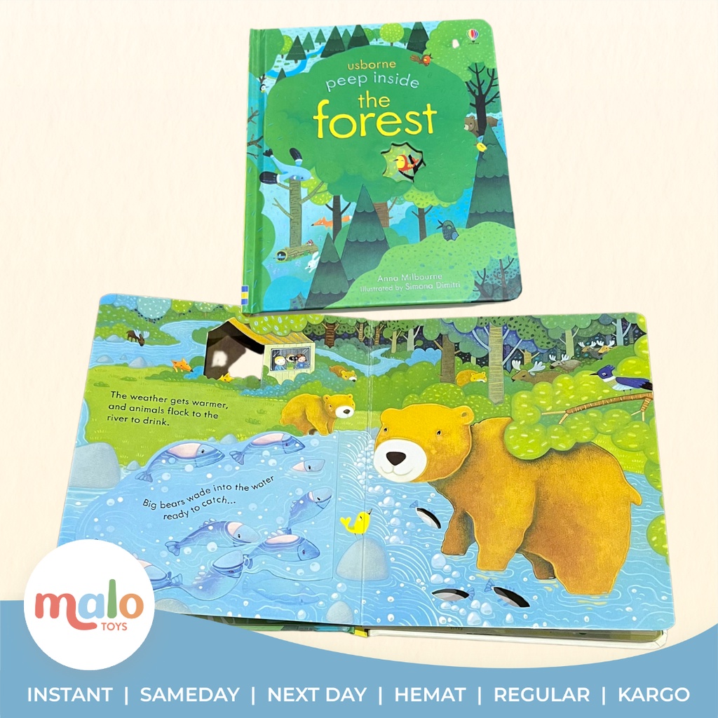 Jual MALOTOYS - USBORNE PEEP INSIDE Lift the Flap LTF Buku Edukasi ...
