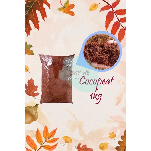 Jual Media tanam Cocopeat / cocopit / kokopit / Sabut Kelapa 1 kg [Baca ...
