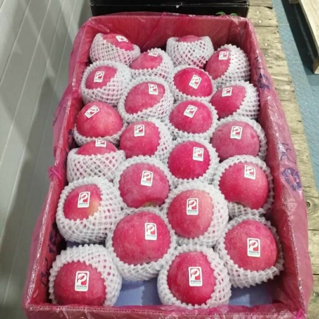 Jual POHON BLUSH IMPORT APPLE APEL FUJI PREMIUM MANIS SEGAR 14,5 KG ...