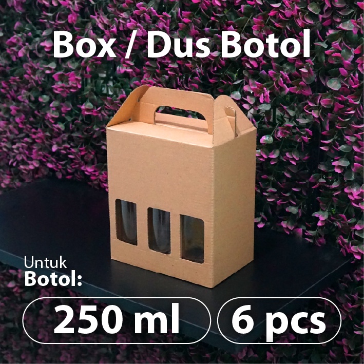 Jual Dus isi 6 Botol 250 ml - Dus Parcel - Natal Lebaran Hadiah Hampers ...
