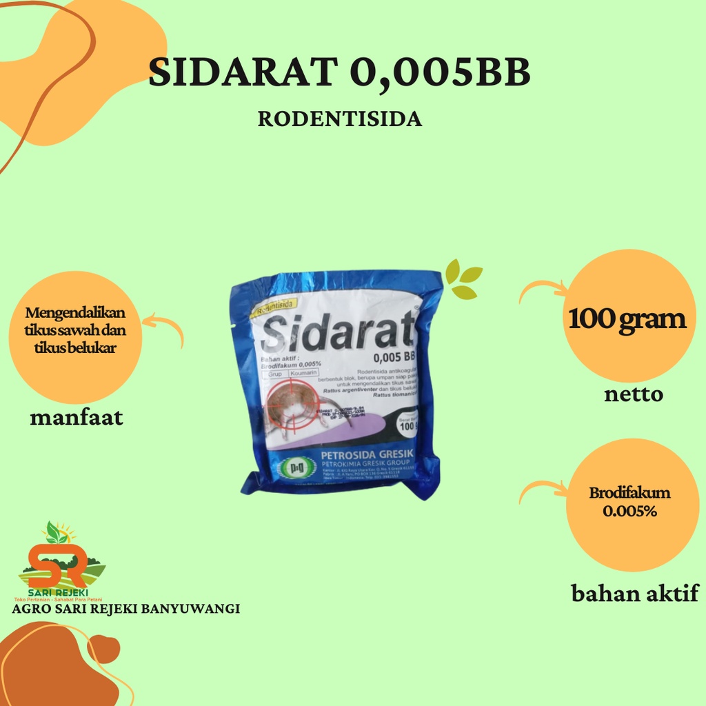Jual SIDARAT 0,005BB 100GRAM RODENTISIDA RACUN TIKUS SIAP MAKAN SIAP ...