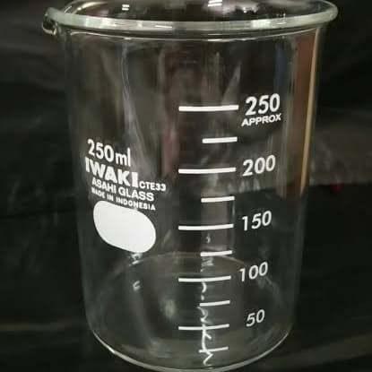Jual Lab Iwaki Beaker Glass 250 Ml Low Form/Gelas Kimia Iwaki | Shopee ...