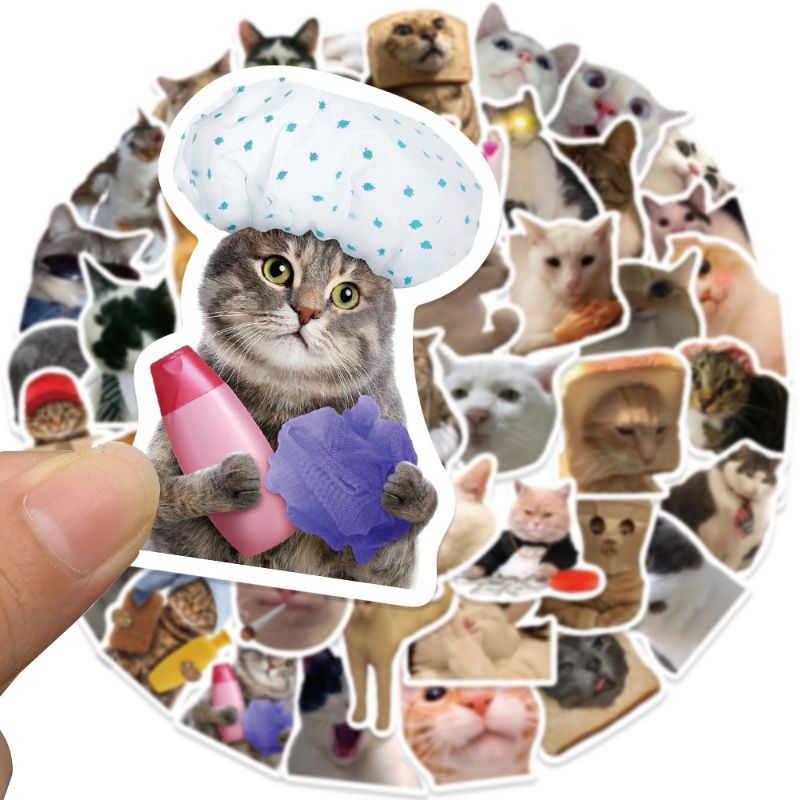 Jual 50pcs Sticker Funny Cat Meme Stiker PVC Kucing Lucu Laptop Koper ...