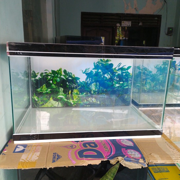 Jual Akuarium 50x30x30 Pake List Cakep Untuk Aquascape Ikan Hias Dll ...