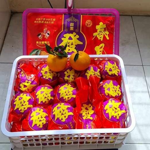 Jual Jeruk Dekopon Chuan Jian RRC Super 7kg Gift Box | Shopee Indonesia