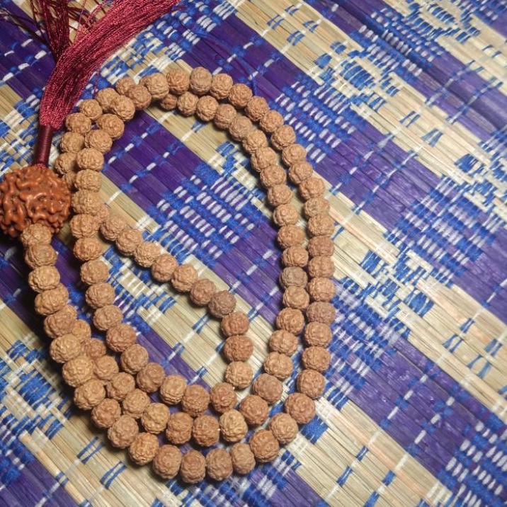 Jual (W>8I ) tasbih jenitri genitri rudraksha original 108 dan 99 super ...