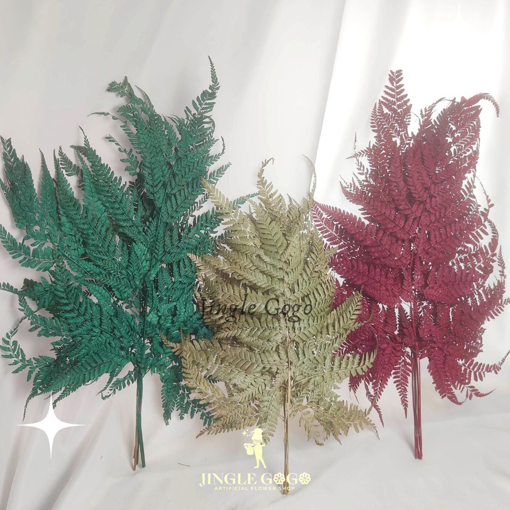 Jual Daun Pakis Kering / Dried Flower / Bunga Kering Rustic Hiasan ...