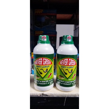 Jual Never Green Anti Lumut Obat Kutu Jamur Virus Bakteri & Parasit ...