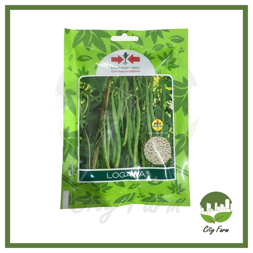 Jual BENIH BUNCIS LOGAWA SP (225 BTR) PANAH MERAH | Shopee Indonesia