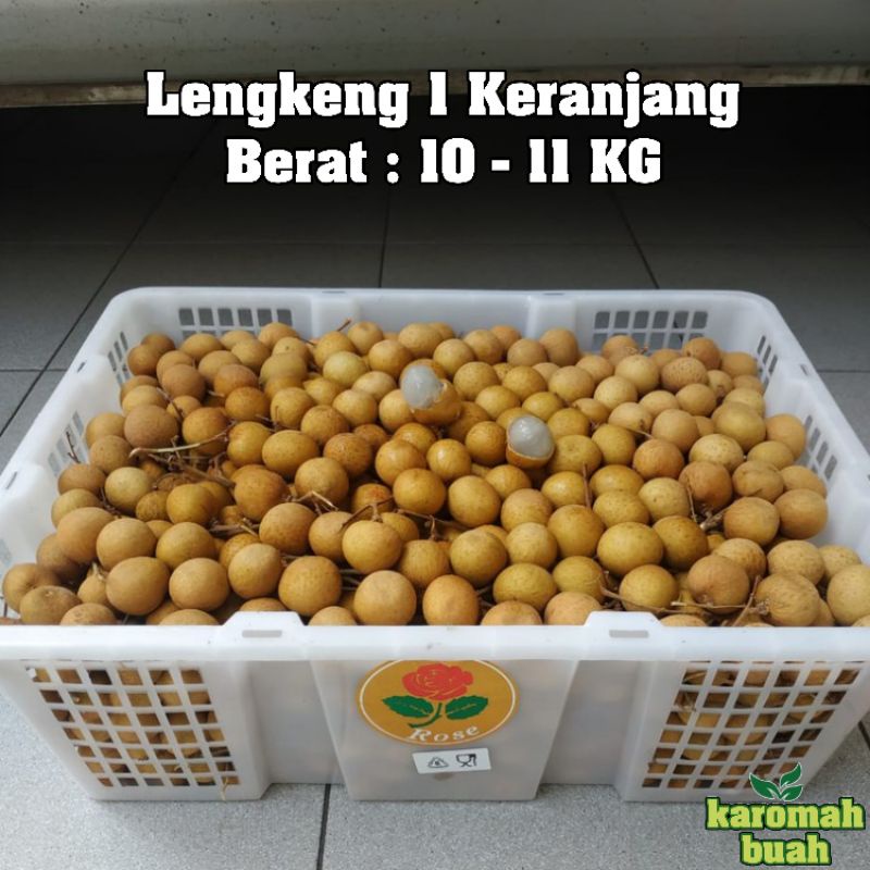 Jual buah lengkeng bangkok GOLD 1 krat berat 11 KG LEBIH | Shopee Indonesia