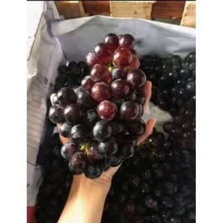 Jual Anggur 1 Kg Terlengkap & Harga Terbaru Juni 2024 | Shopee Indonesia