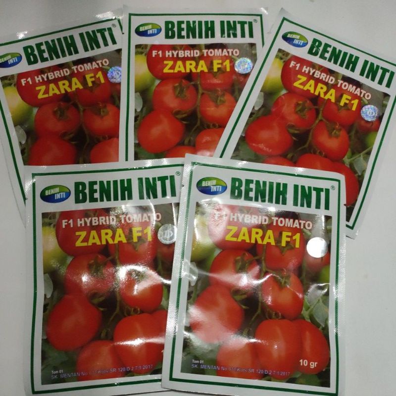 Jual Benih Tomat Hibrida ZARA F1 (10 GR) BENIH INTI | Shopee Indonesia