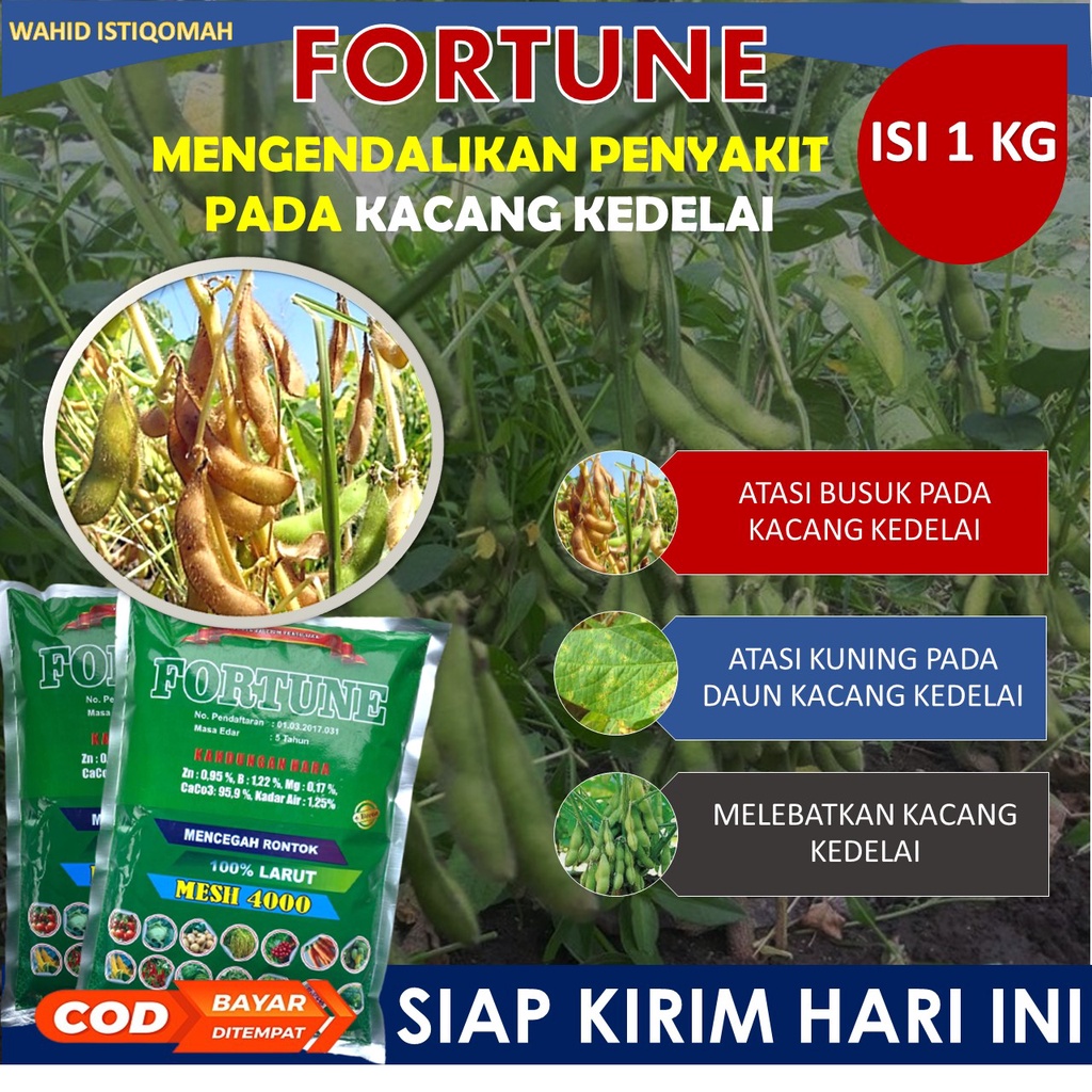 Jual 1 KG PUPUK FORTUNE obat kacang kedelai - obat khusus kacang kedela ...