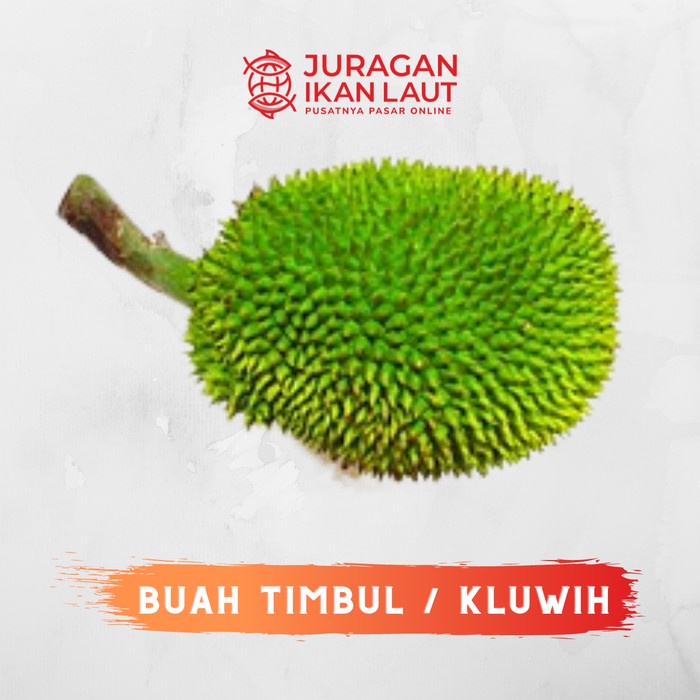 Jual Buah Timbul / Kluwih Berkualitas - 1 Buah | Shopee Indonesia