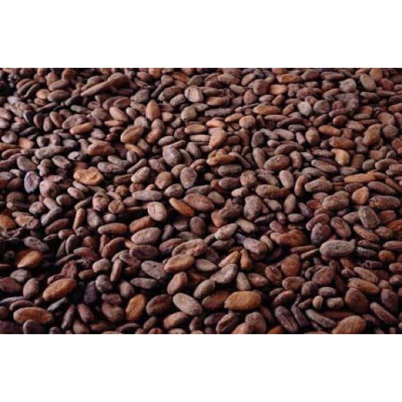 Jual Biji Kakao/biji coklat kering 250gram | Shopee Indonesia