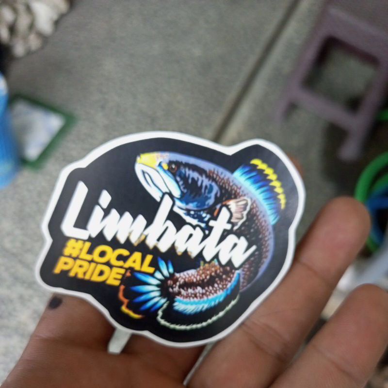 Jual Stiker ikan Channa/stiker Chana Ys/stiker Chana pulcra/stiker ...