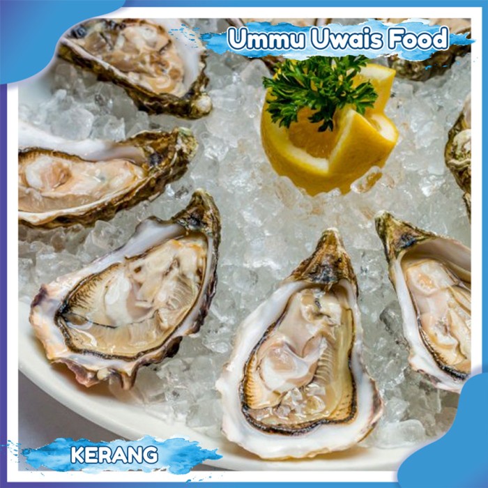 Jual Kerang Tiram Oyster Fresh Berkualitas - 1 KG | Shopee Indonesia