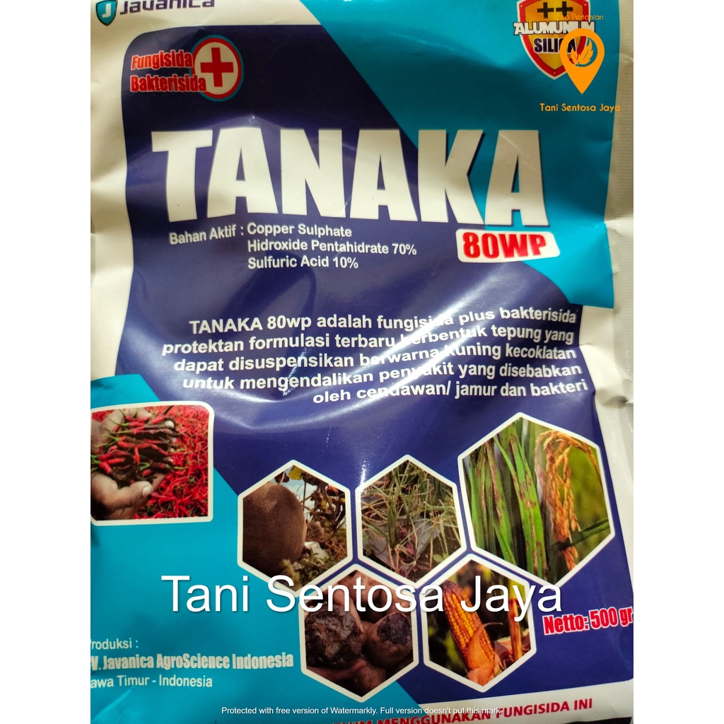 Jual Fungisida Kontak Tanaka 80WP - Fungisida & Bakterisida Pengendali ...