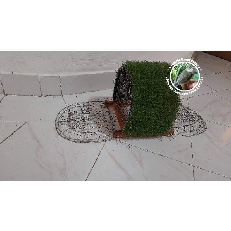 Jual kandang jebak burung puyuh doble trap thailand | Shopee Indonesia