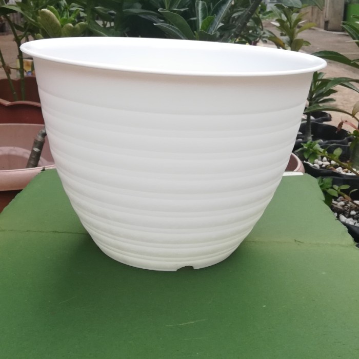Jual Pot Tawon Pot Putih Super Tawon ukuran 21cm grosir | Shopee Indonesia