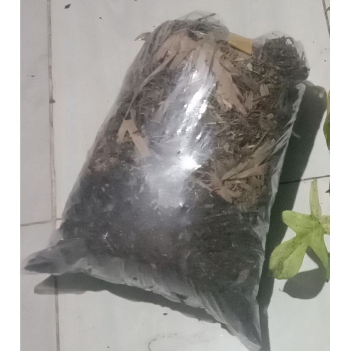 Jual Media Tanam Lengkap Fermentasi + Andam resam & daun bambu total ...