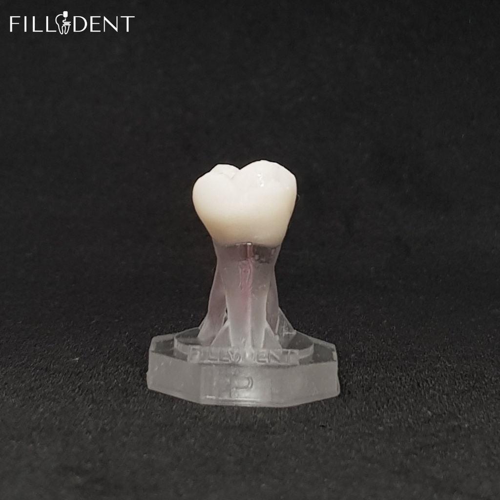 Jual E-Model Gigi 16 Closed Access| Model Kerja Kedokteran Gigi ...