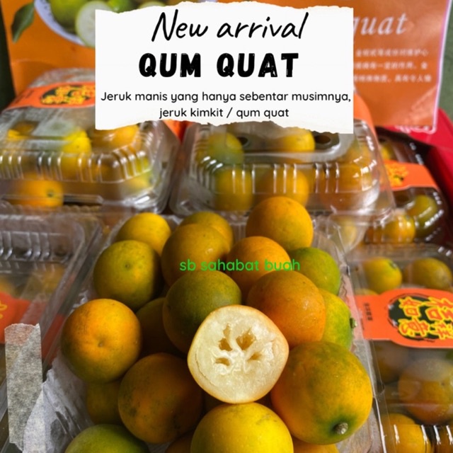 Jual BUAH JERUK KIMKIT JERUK KUM QUAT MANIS | Shopee Indonesia