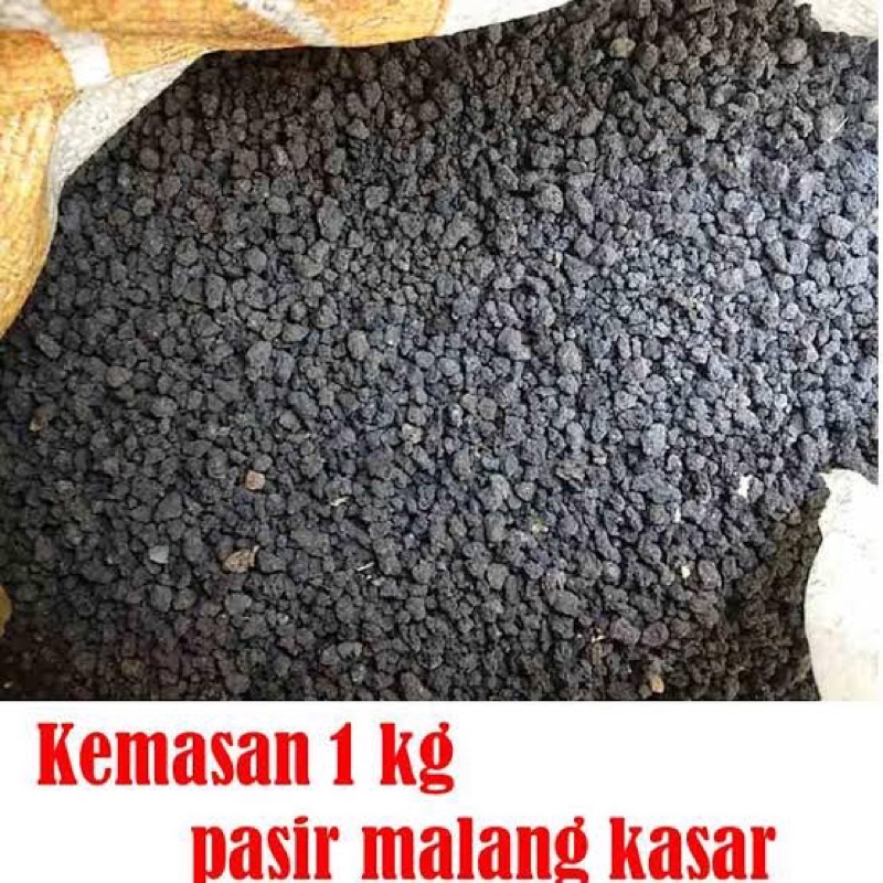 Jual Media Pasir malang hitam 1 karung pasir vulkanik/ Pasir malang ...