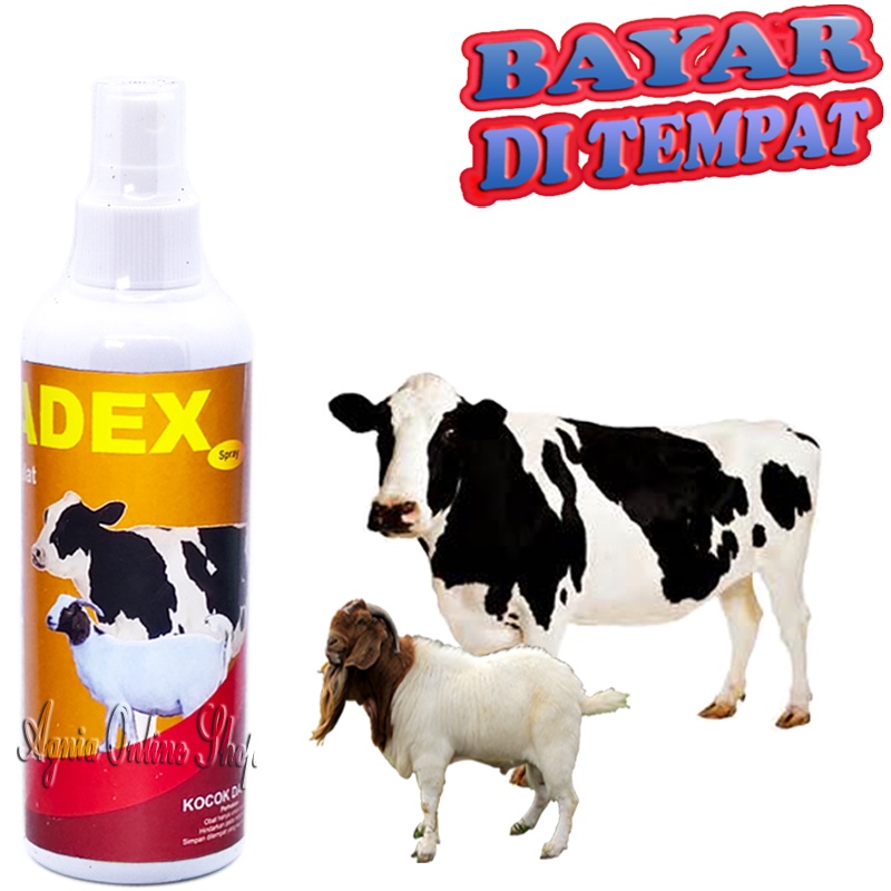 Jual OBAT KORENG SAPI KAMBING KERBAU KULFADEX SPREY SAKIT SCABIES JAMUR ...