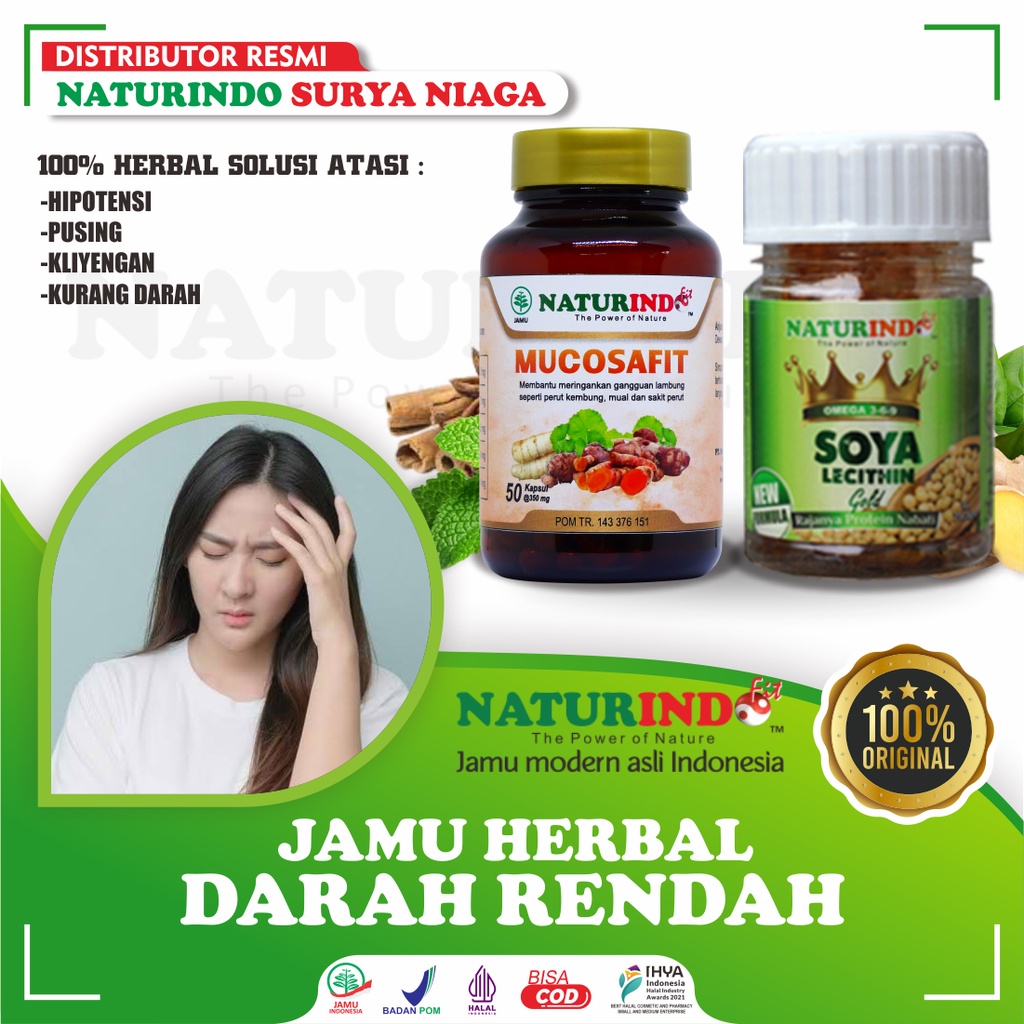 Jual Obat Darah Rendah Kurang Darah Herbal Darah Rendah Tekanan Darah ...