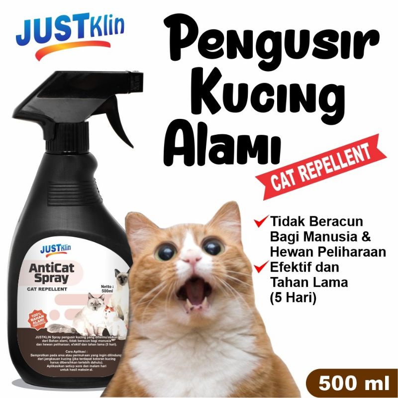 Jual Cairan Pelindung Pengaman Jok Motor Sofa Dari Cakaran Kucing Dan ...