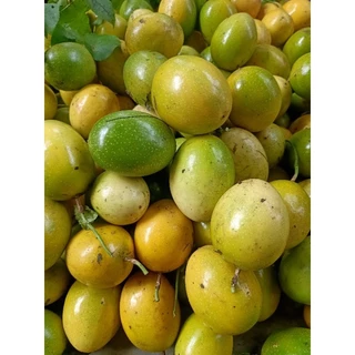Jual Buah Berwarna Kuning Terlengkap & Harga Terbaru Mei 2024 | Shopee Indonesia