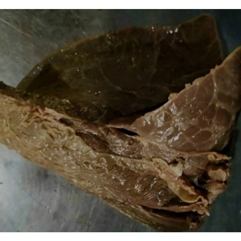 Jual paru sapi rebus | Shopee Indonesia