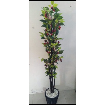 Jual POHON HIAS CERI/BUNGA HIAS CERI(BUNGA POJOKAN) | Shopee Indonesia